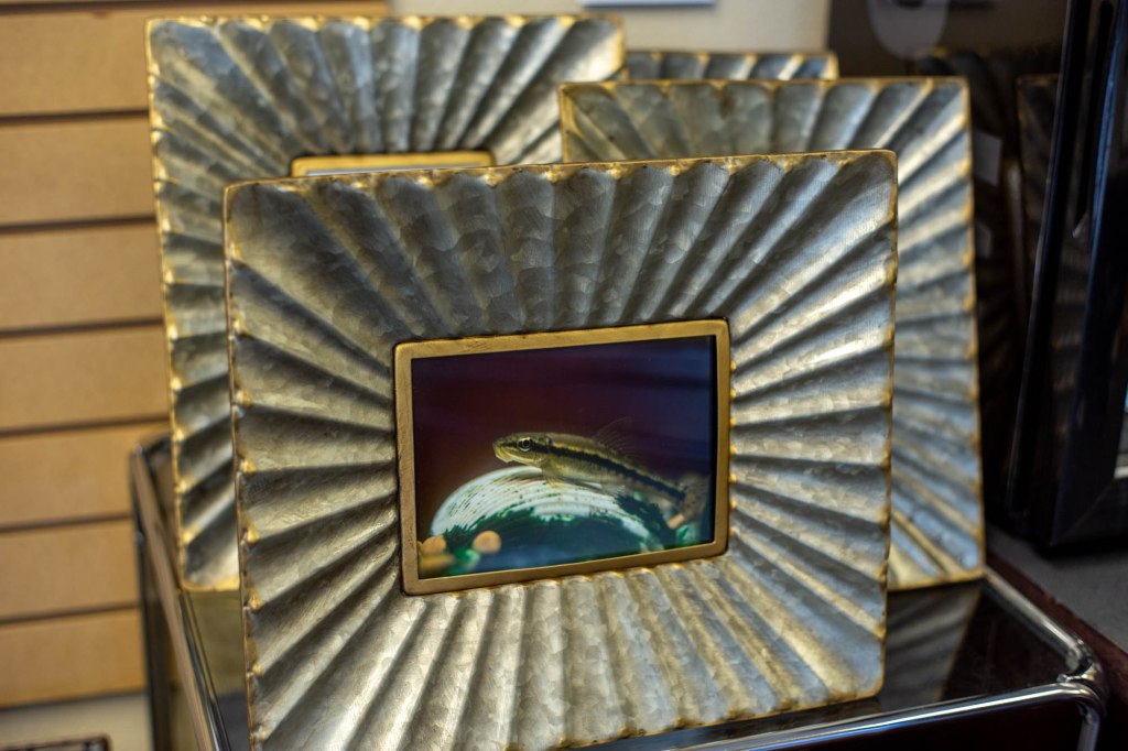 Main St. Photo-Video – Photo Lab, Photo Printing, Camera Store ...